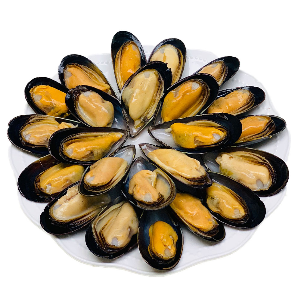 Cooked Black Mussel – 1/2 Shell – Great Wall Seafood